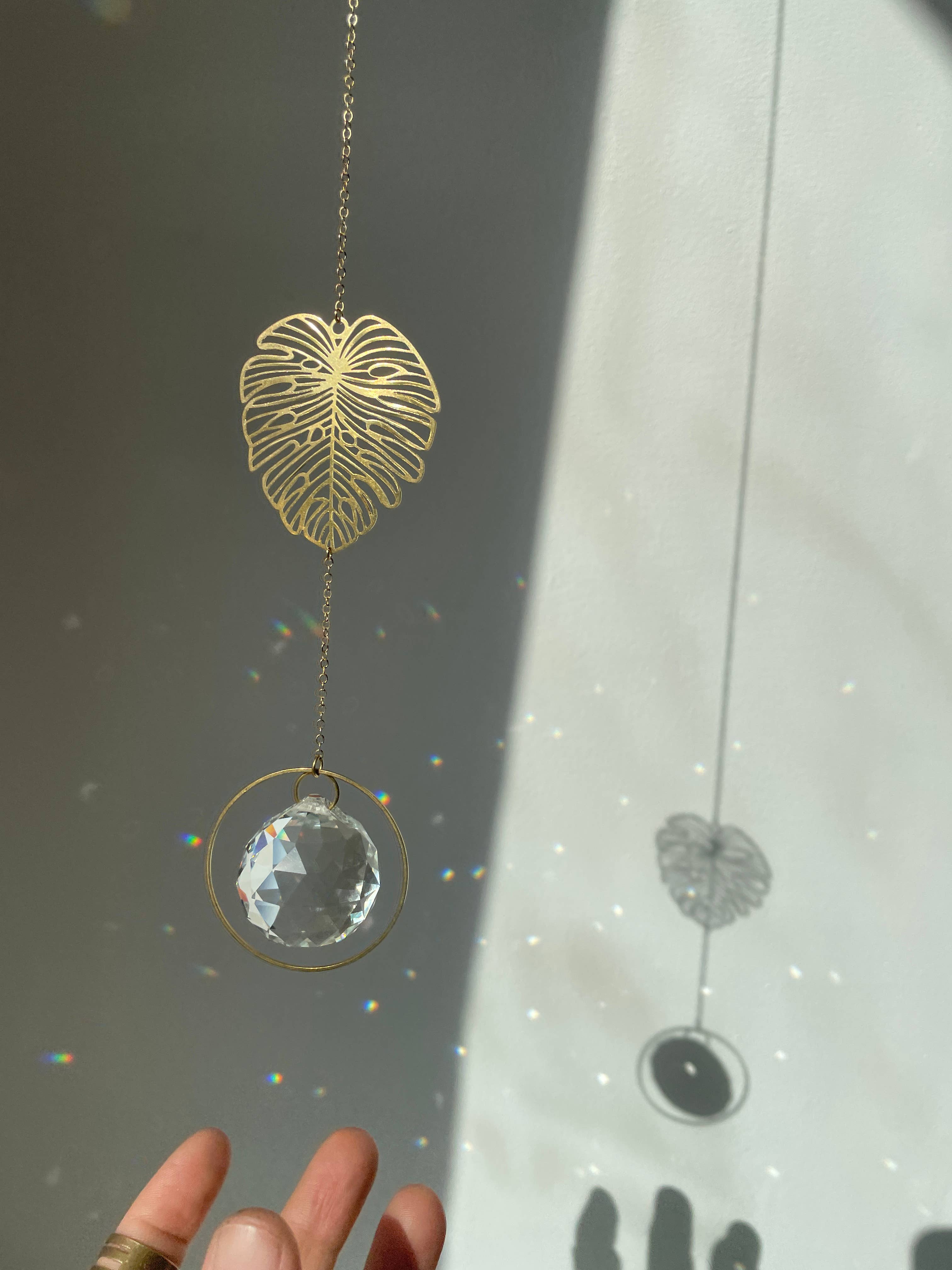 Suncatcher Crystal - Monstera Leaf – Frenchie's Floral Studio